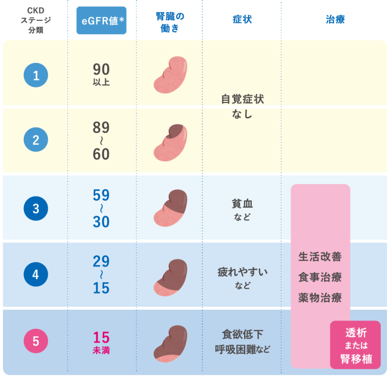 知っておきたい慢性腎臓病（CKD）の話 - 白金高輪駅前 内科・糖尿病クリニック